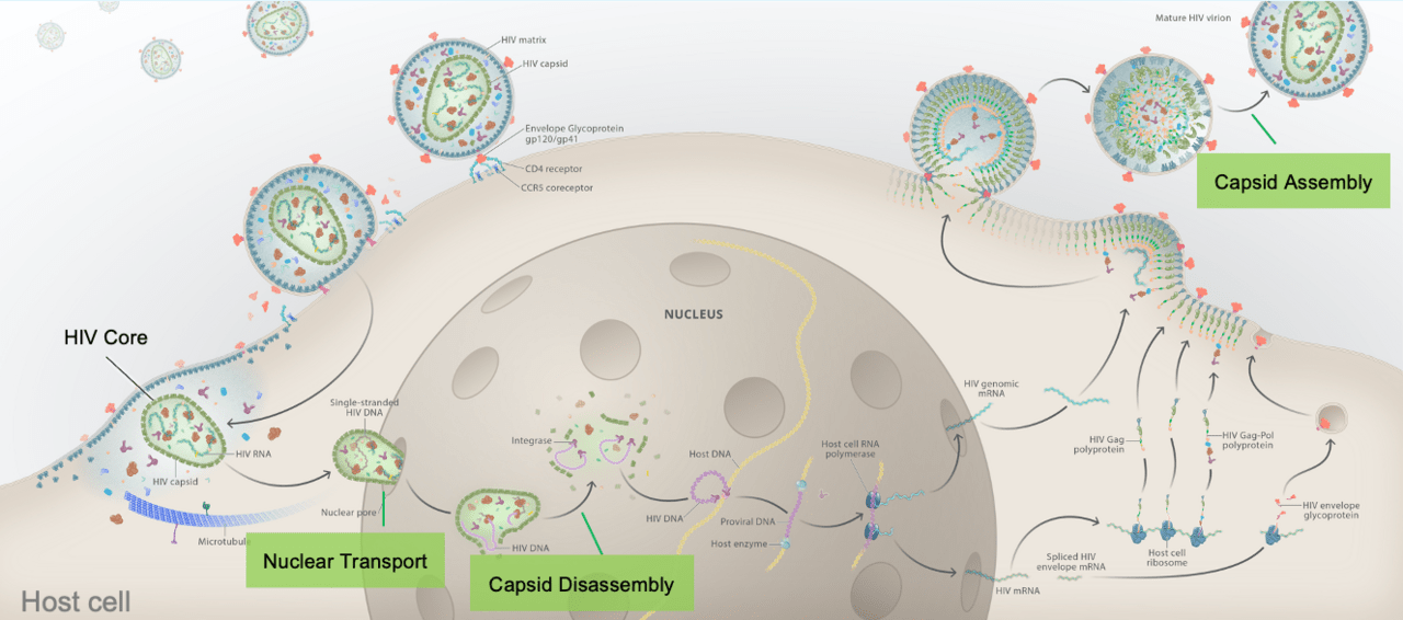 Core Concepts - Antiretroviral Medications and Initial Therapy ...
