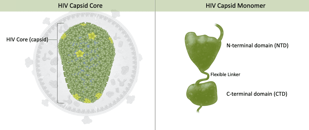 Core Concepts - Antiretroviral Medications and Initial Therapy ...