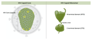 Core Concepts - Antiretroviral Medications and Initial Therapy ...