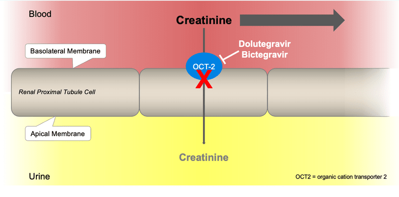 Core Concepts - Adverse Effects of Antiretroviral Medications ...