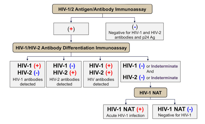 Question 3 - HIV-2 Infection Question Bank - National HIV Curriculum