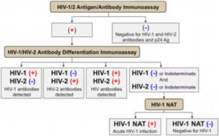 Question 3 - HIV-2 Infection Question Bank - National HIV Curriculum