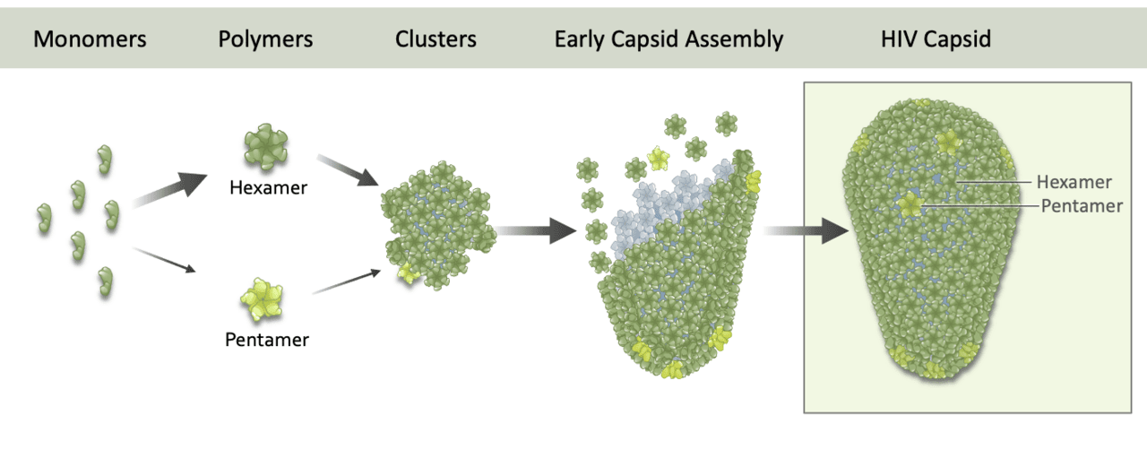 Core Concepts - Antiretroviral Medications and Initial Therapy ...