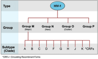 Core Concepts - Epidemiology of HIV - Screening and Diagnosis ...