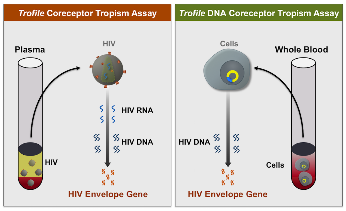 Question 8 - Antiretroviral Medications and Initial Therapy Question ...