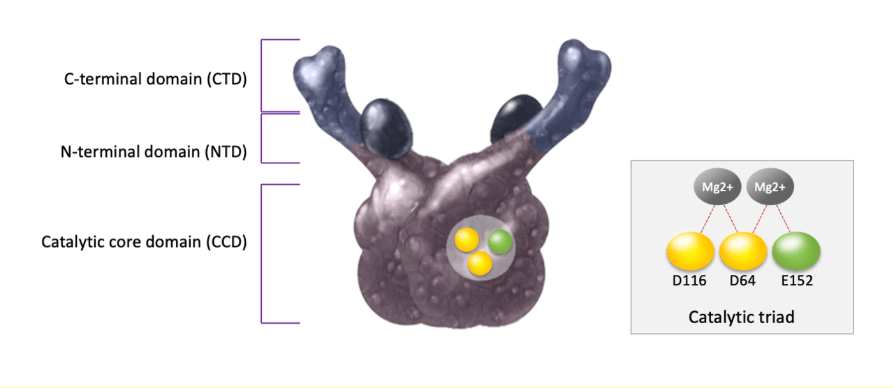 Core Concepts - Antiretroviral Medications and Initial Therapy ...