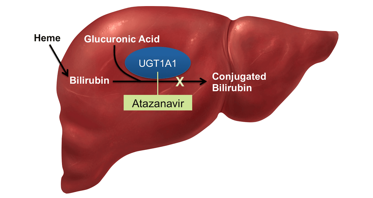 Core Concepts - Adverse Effects of Antiretroviral Medications ...