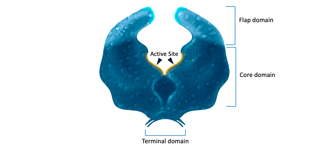 Core Concepts - Antiretroviral Medications and Initial Therapy ...