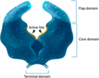 Core Concepts - Antiretroviral Medications and Initial Therapy ...