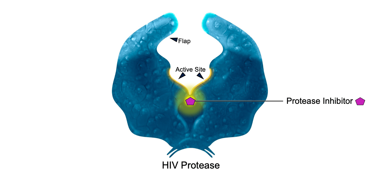 Core Concepts - Antiretroviral Medications and Initial Therapy ...