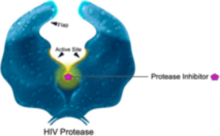 Core Concepts - Antiretroviral Medications and Initial Therapy ...