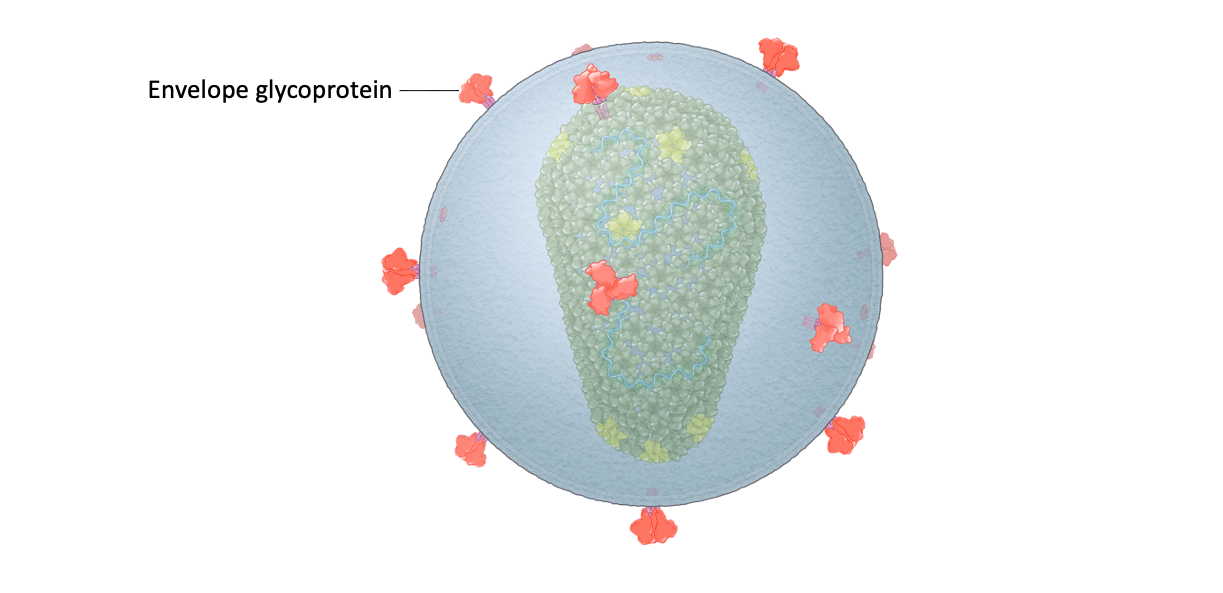 Core Concepts - Antiretroviral Medications and Initial Therapy ...