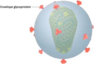 Core Concepts - Antiretroviral Medications and Initial Therapy ...