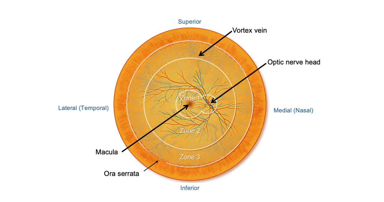 Core Concepts - Opportunistic Infections: Treatment - Co-Occurring ...
