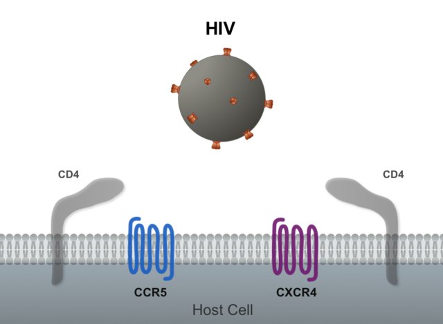 Question 8 - Antiretroviral Medications and Initial Therapy Question ...