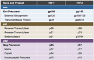 Core Concepts - HIV-2 Infection - Key Populations - National HIV Curriculum