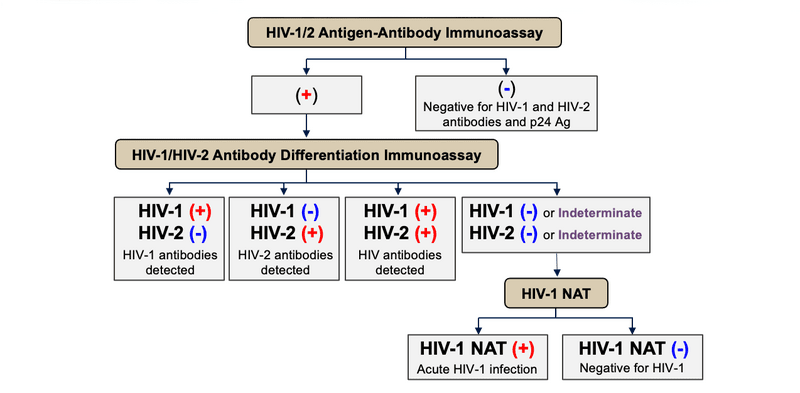 Core Concepts - HIV-2 Infection - Key Populations - National HIV Curriculum