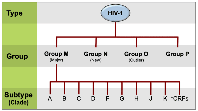 Question 11 - Epidemiology of HIV Question Bank - National HIV Curriculum