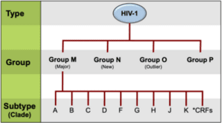 Question 11 - Epidemiology of HIV Question Bank - National HIV Curriculum