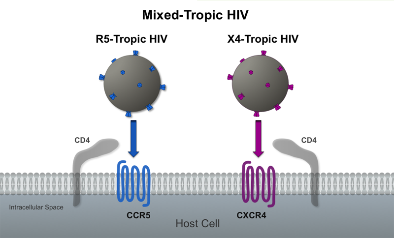 Question 8 - Antiretroviral Medications and Initial Therapy Question ...