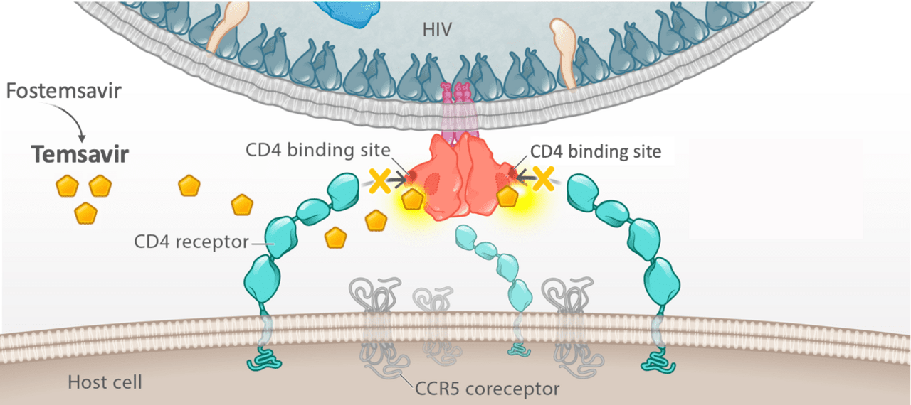 Core Concepts - Antiretroviral Medications and Initial Therapy ...